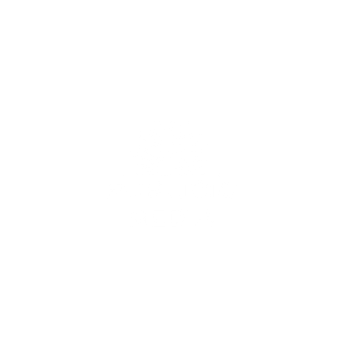 cynapsis interactive